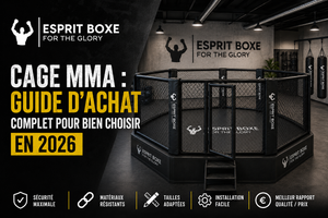 Cage MMA : guide d'achat complet 2026 — dimensions, prix, types ...